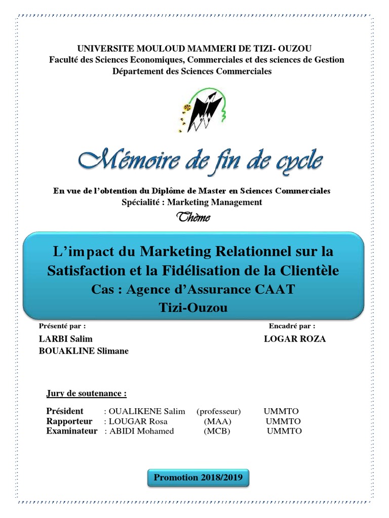 Mémoire Final | PDF | Commercialisation | Business