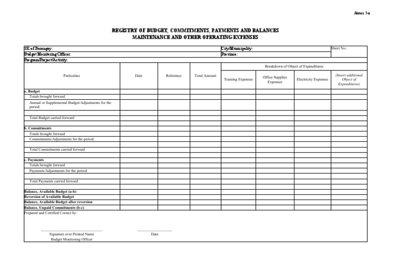 Barangay Budget Monitoring Report | PDF