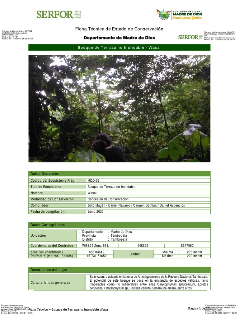 Bosque de Terraza No Inundable - Wasai | PDF | Río | Arecaceae