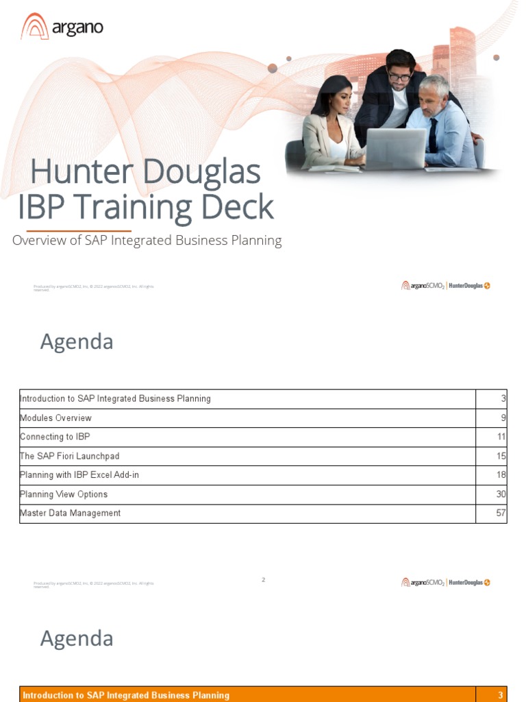 Revised Overview of SAP IBP Modules, Navigation, Planning Views, and ...