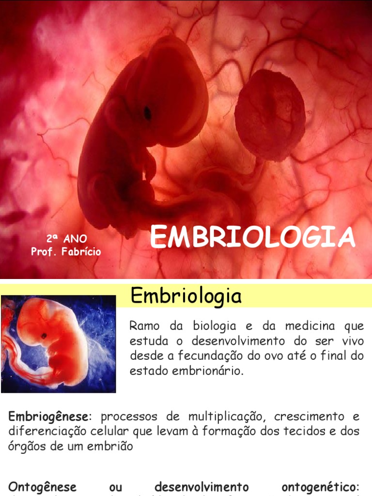 Embriologia | PDF | Ovo | Placenta