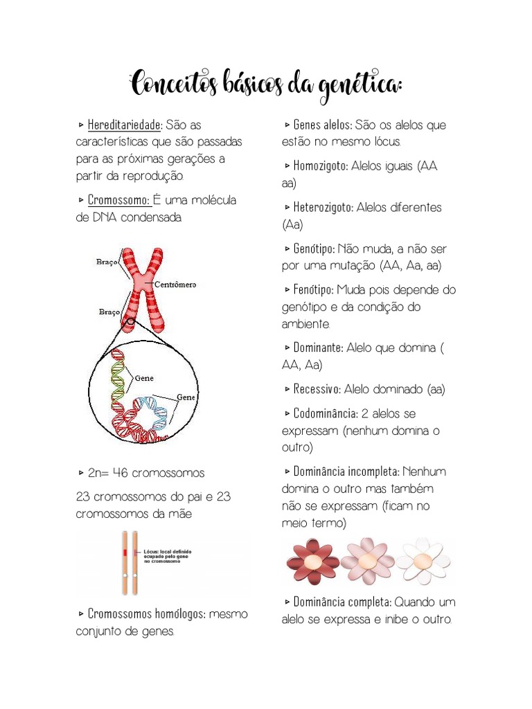 Conceitos Básicos Da Genética | PDF | Ciências e Matemática