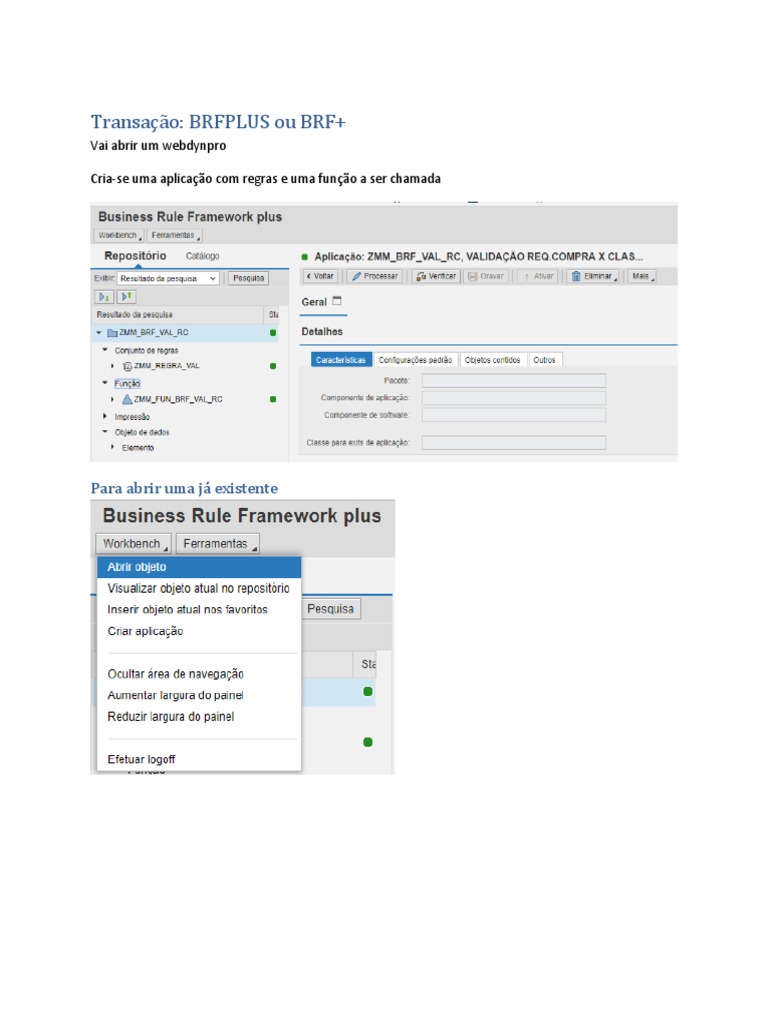 BRFPlus | PDF | Computer Programming | Computer Engineering