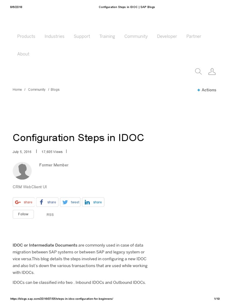 Configuration Steps In Idoc Sap Blogs Pdf Parameter Computer Programming Information