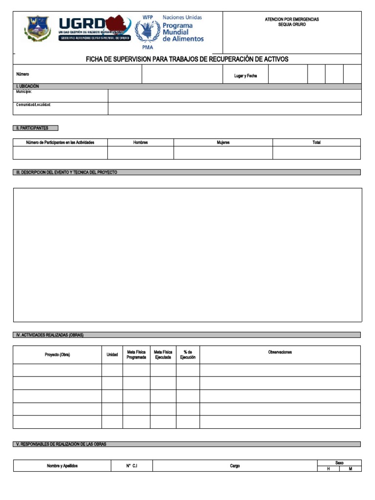 Ficha Tecnica PMA EN BLANCO | PDF