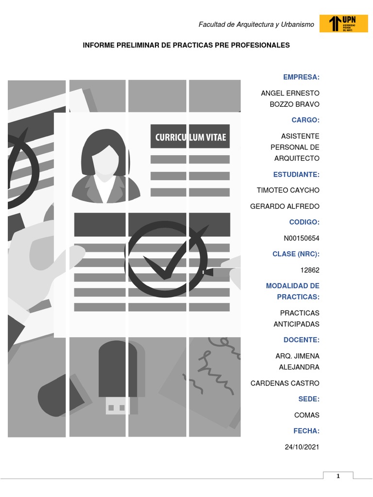 Informe Preliminar de Practicas Pre Profesionales | PDF | Ingeniería