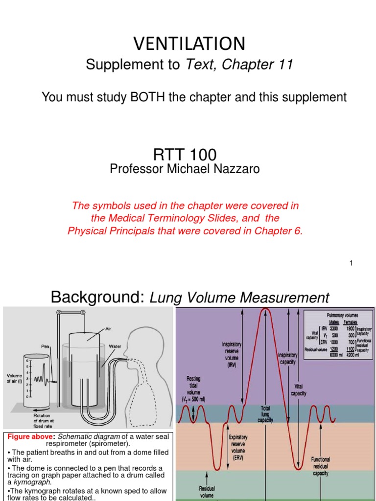 Respiratory Notes and Slide | PDF | Lung | Breathing