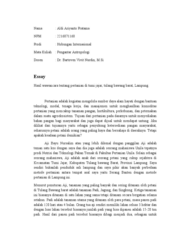 Essay Antropologi - Aldi Ariyanto Pratama | PDF | Griya & Taman | Kesehatan Holistik
