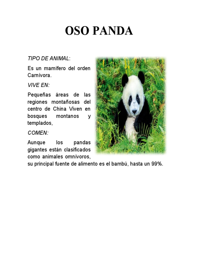 Oso Panda: Hábitat y Alimentación | PDF