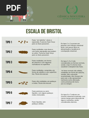 Bristol Escala de fezes png⚰️ Torça pelo Siauliai no basquete ...