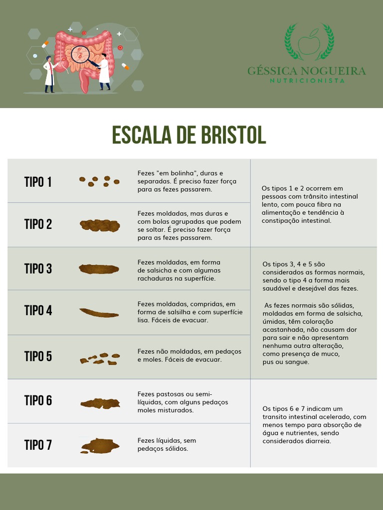 Cópia de Escala de Bristol | PDF