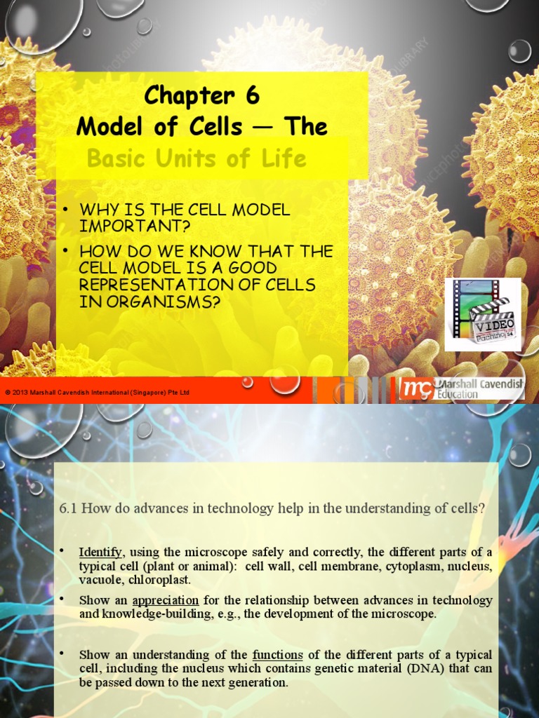 Chap 6 Model of Cells - The Basic Units of Life copy | PDF | Cell (Biology) | Tissue (Biology)