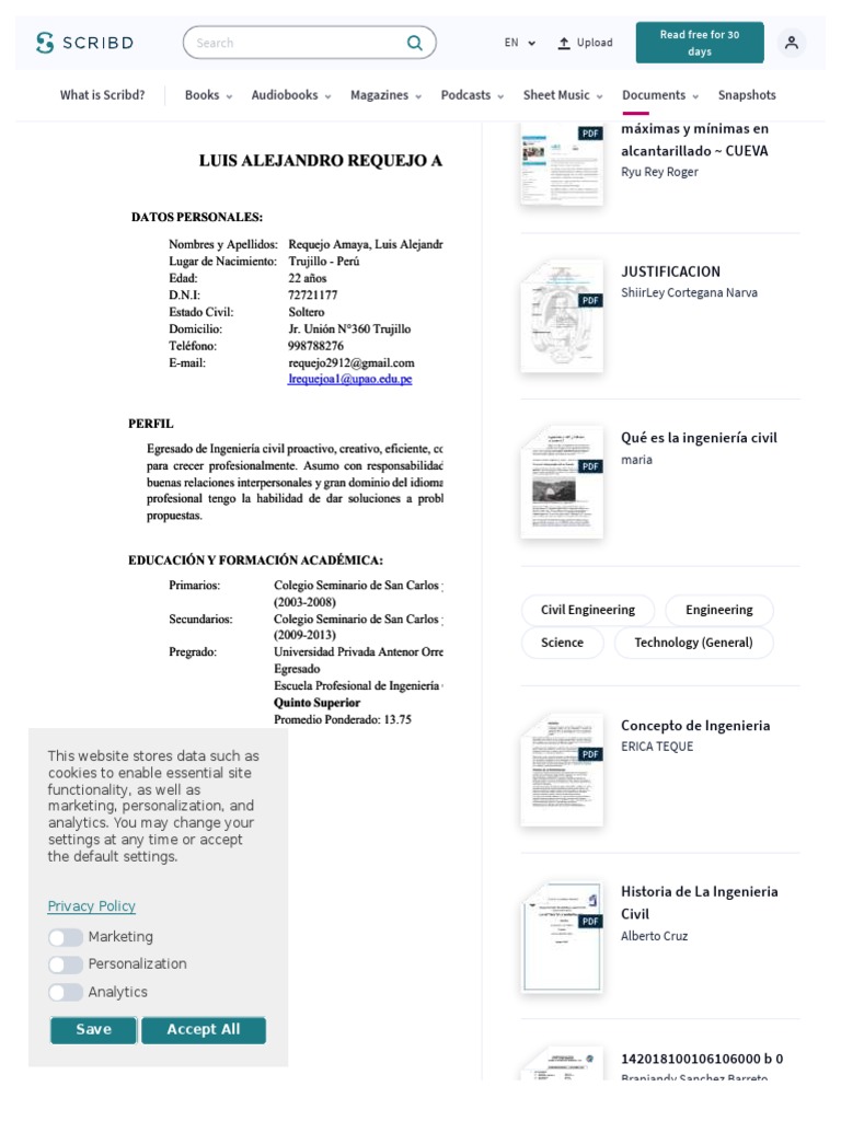 PDF Curriculum Vitae Luis Alejandro Requejo Amaya - Compress | PDF ...