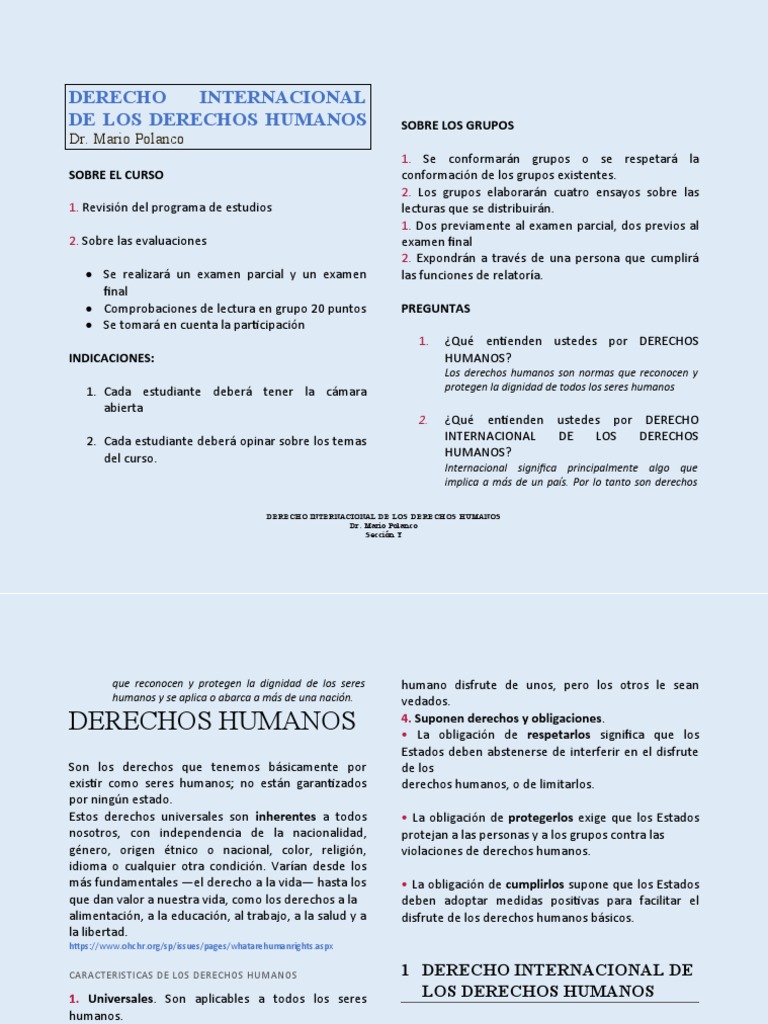 Derecho Internacional De Los Derechos Humanos Pdf Tratado