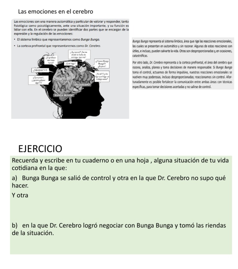 1 6 Las Emociones En El Cerebro Pdf