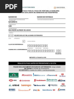 E5CINCO Formato Opcion 1 | PDF