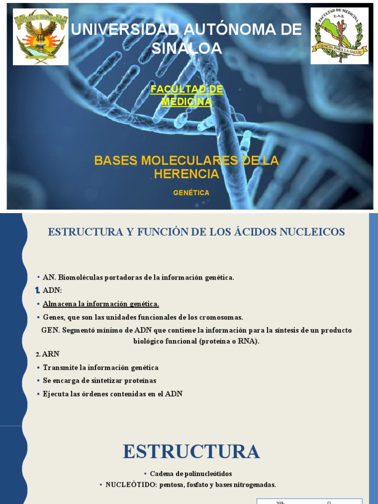 Bases Moleculares de La Herencia | PDF | Epigenética | Rna