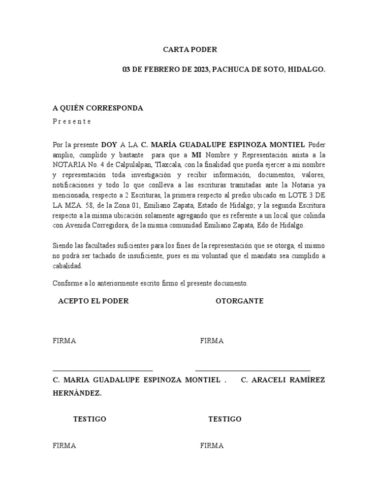 Carta poder para gestionar documentación notarial relacionada con dos ...