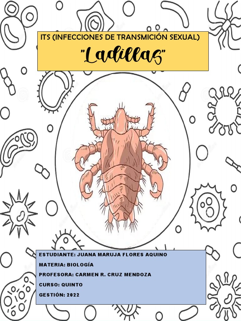 Ladilla | PDF | Medicina CLINICA | Especialidades Medicas