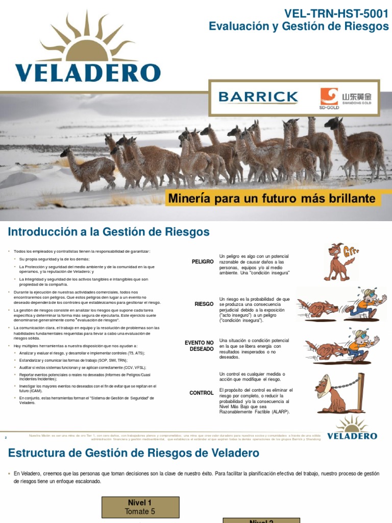 VEL-TRN-HST-5001 - Competency 1 Risk Assessment and Leading Indicators ...