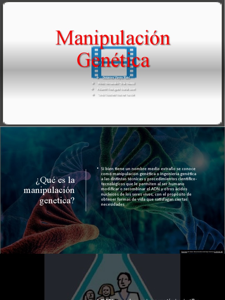 Manipulacion Genetica | PDF | Gene | Ingeniería genética