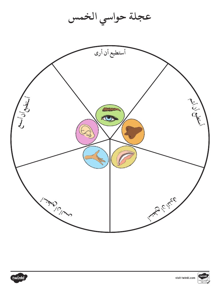 Five Senses Wheel Activity Sheet Arabic | PDF