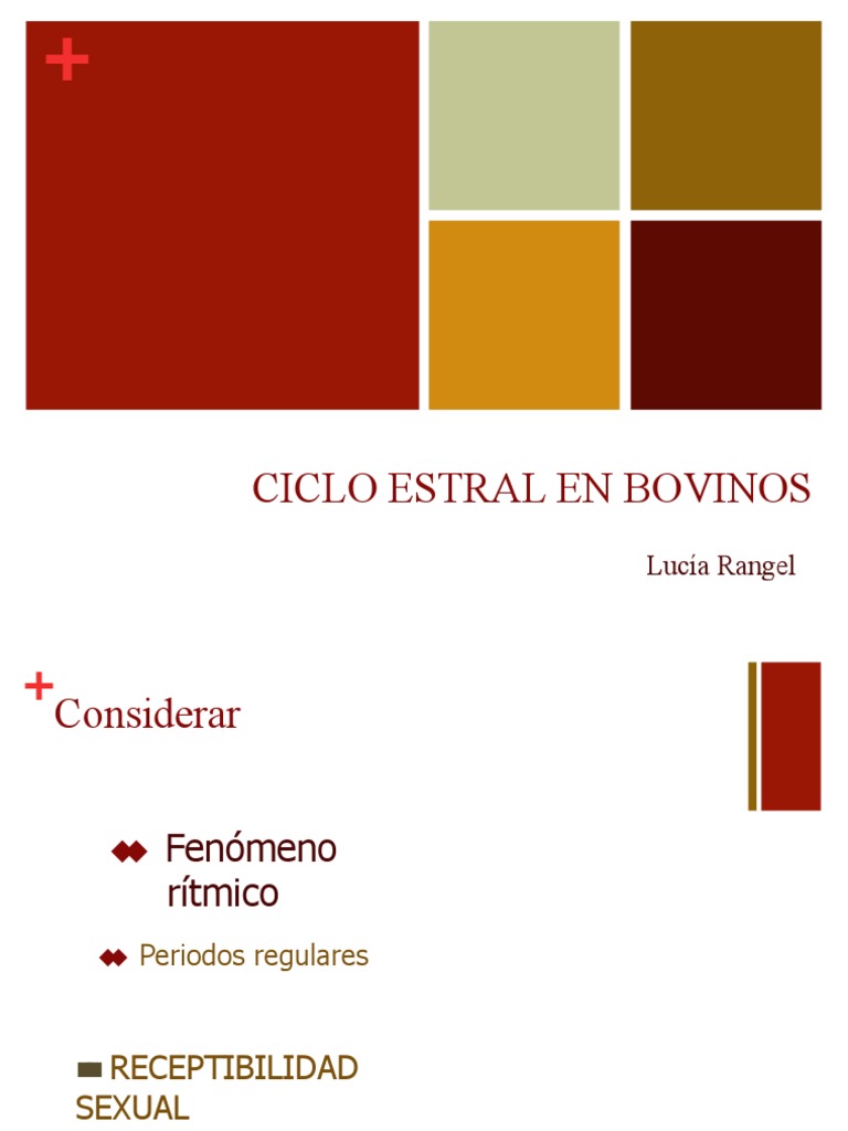 Ciclo - Estral Lucía Rangel | PDF | Hormona luteinizante | La salud de ...