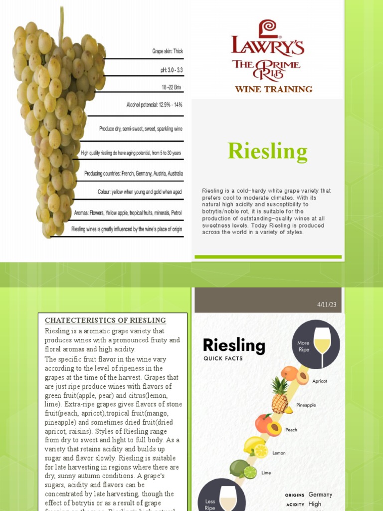 Riesling: Wine Training | Download Free PDF | Winemaking | Wine
