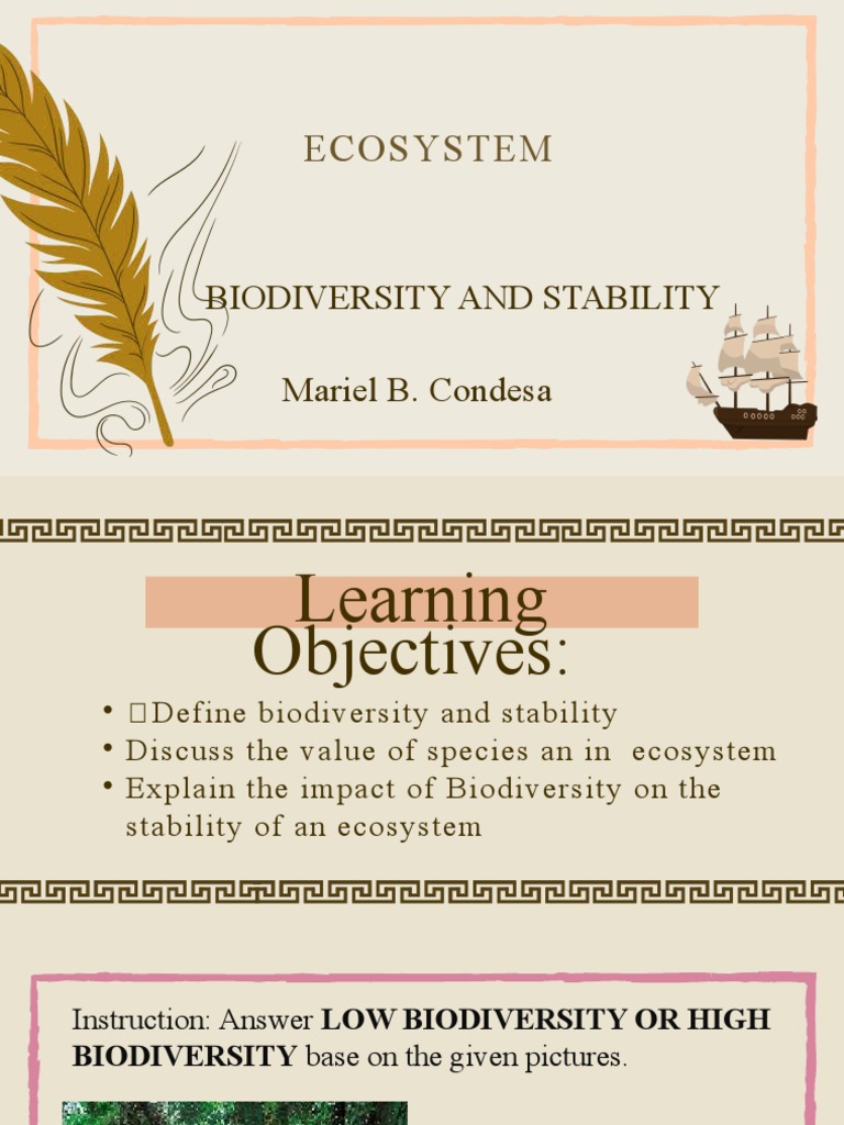 Biodiversity and Stability | PDF | Biodiversity | Ecosystem