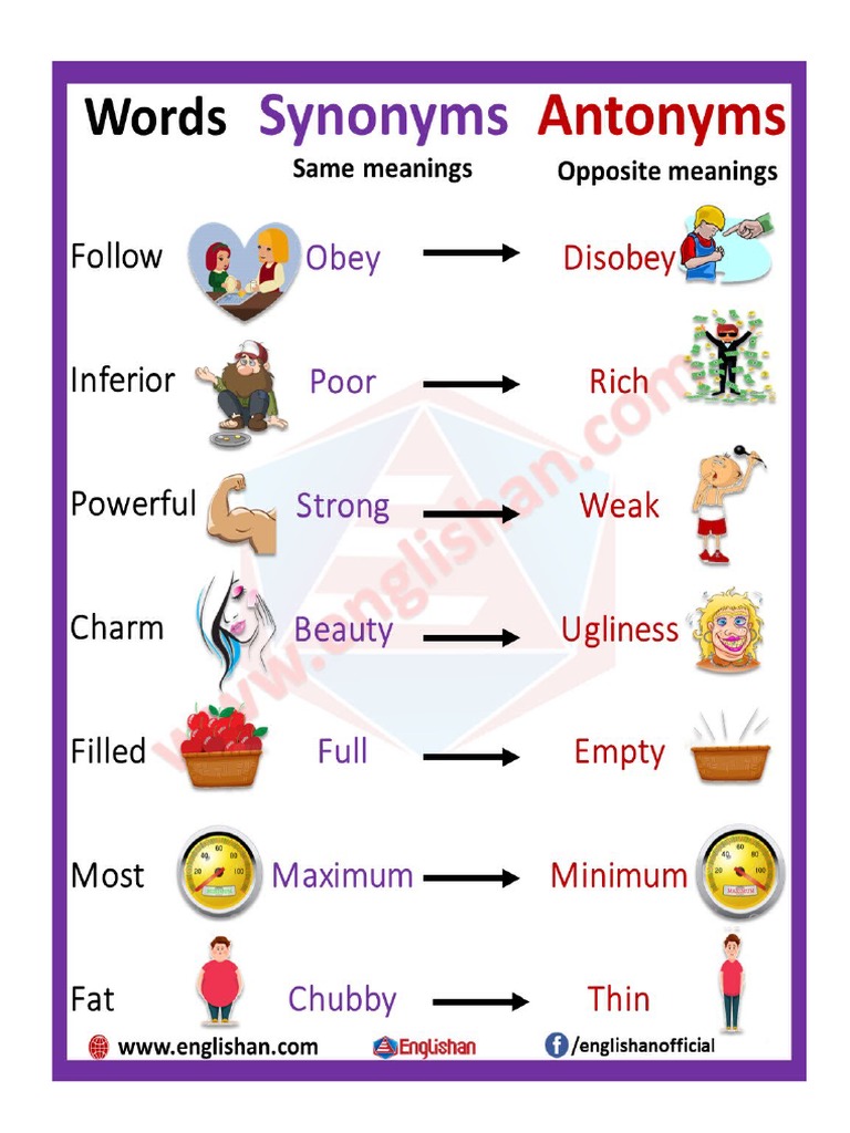Antonyms | PDF