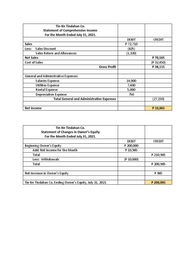 Perpetual - Financial Statements | PDF | Debits And Credits | Expense