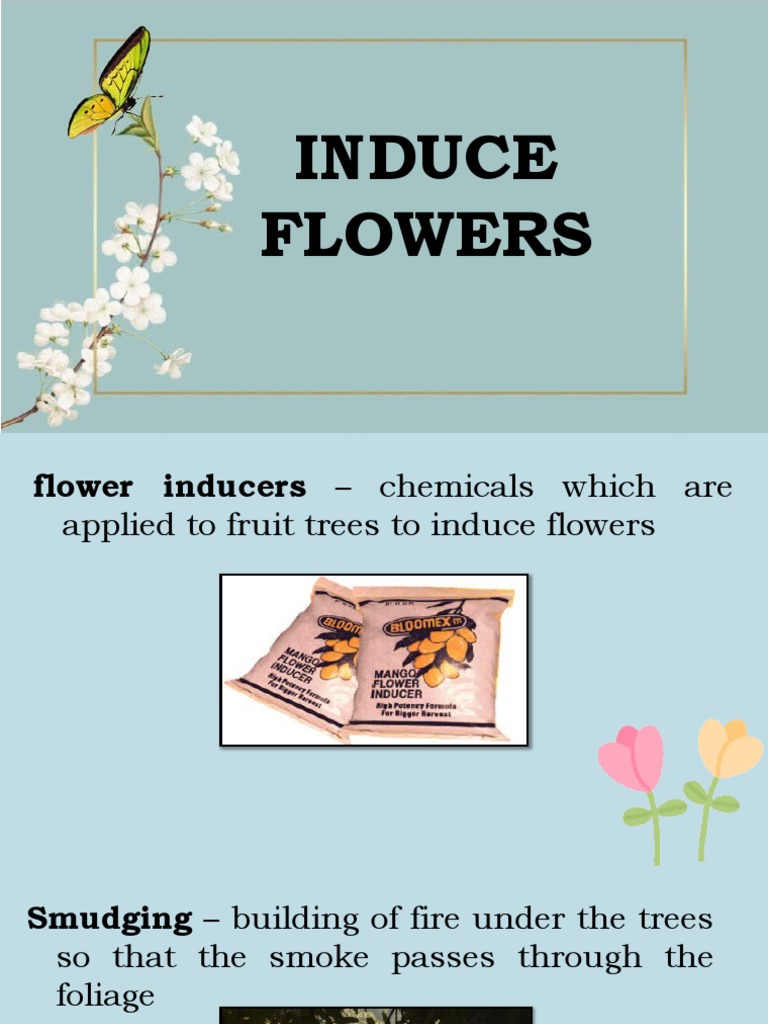 Induce Flower | PDF | Soil | Fertilizer