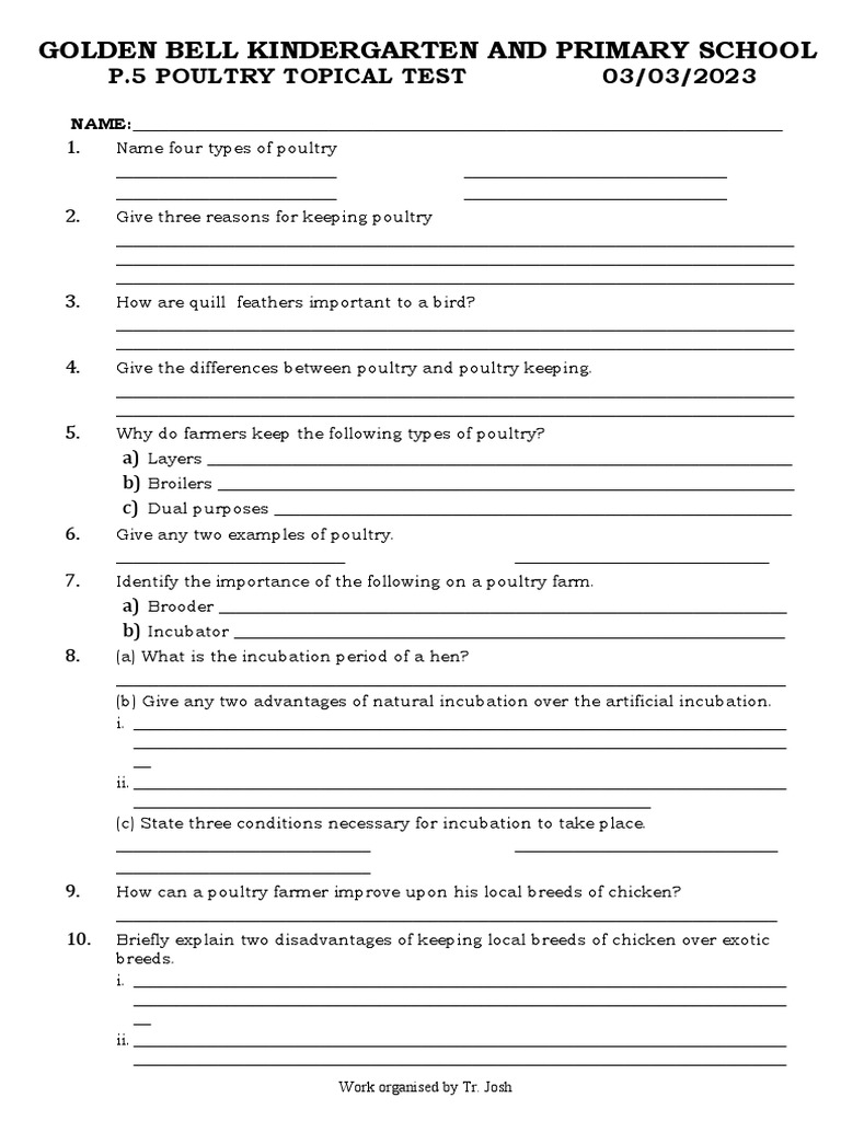 Poultry Topical Questions Pdf Poultry Chicken