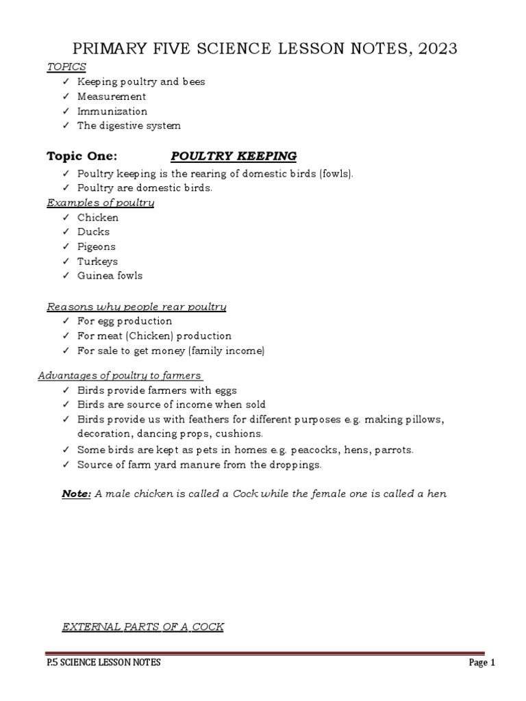 Primary Five Science Lesson Notes, 2023: Topic One | PDF | Weight | Chicken