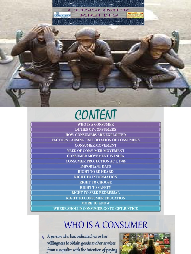 Chapter 5 Consumer Rights-1 | PDF