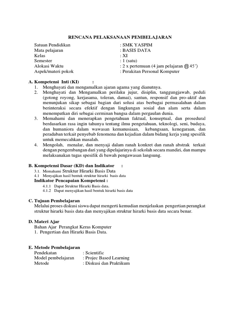 RPP Basis Data Xi | PDF