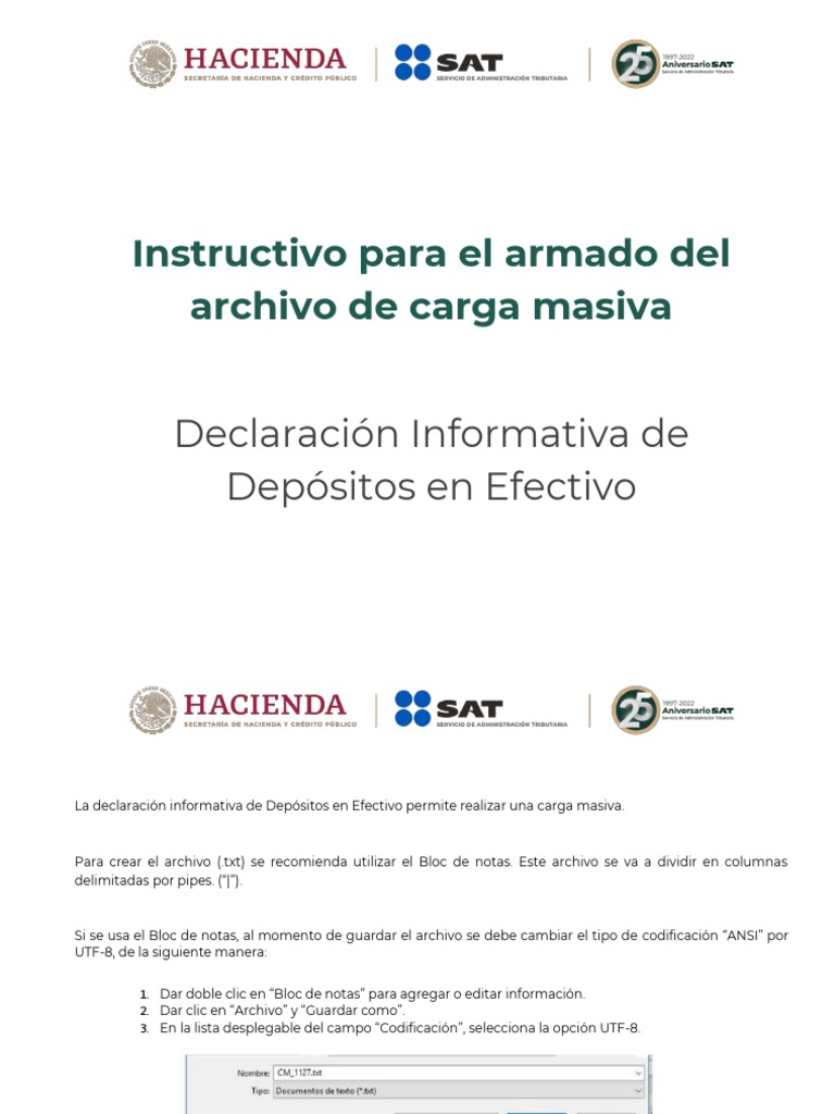 Instructivo para El Armado Del Archivo de Carga Masiva | PDF | Peso mexicano | Tipo de cambio