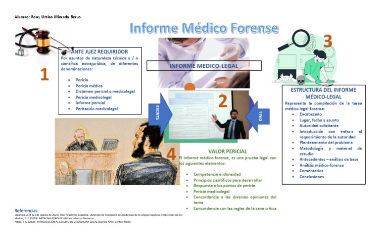 Miranda - Rony - Ensayo INFOGRAFIA DE UN INFORME FORENSE | PDF ...