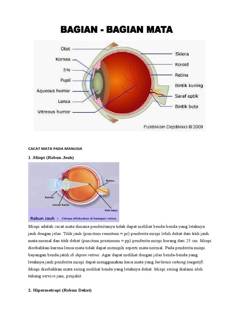 Bagian Mata | PDF