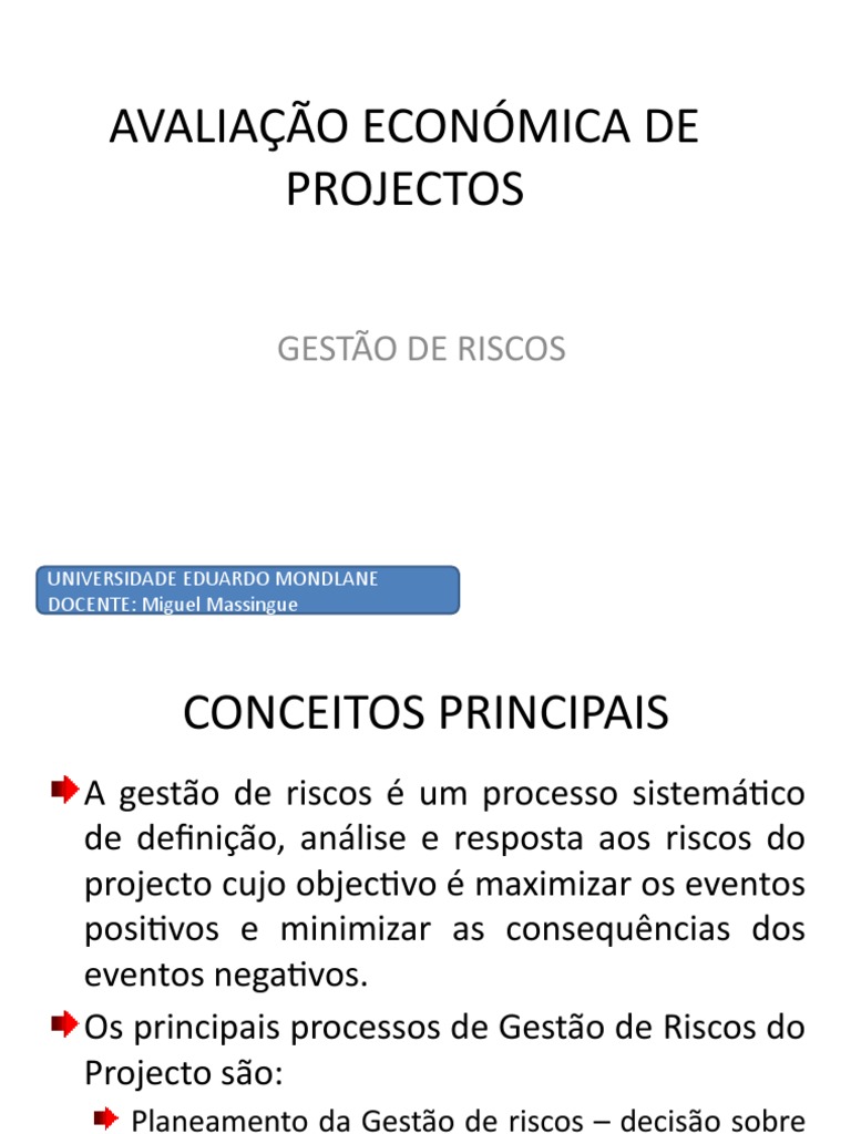 Gestão De Riscos Pdf