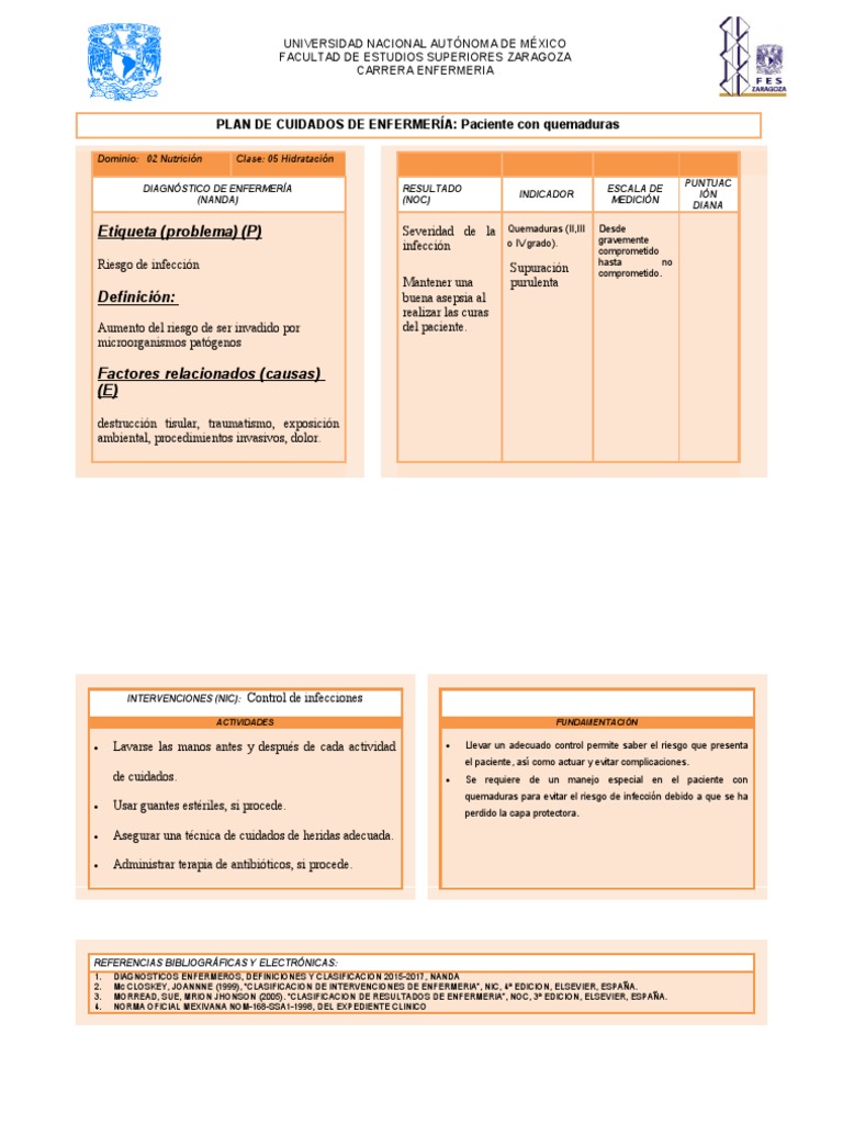 PLACE Quemaduras | PDF | Enfermería | Salud pública