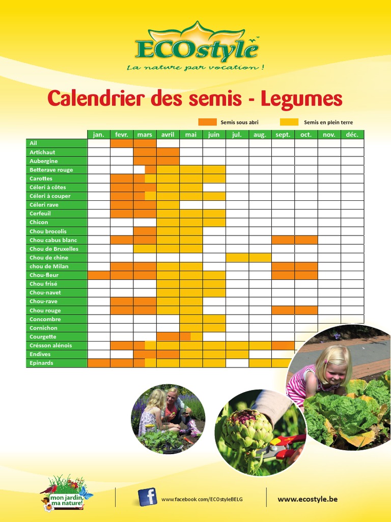 Calendrier Des Semis Legumes | PDF