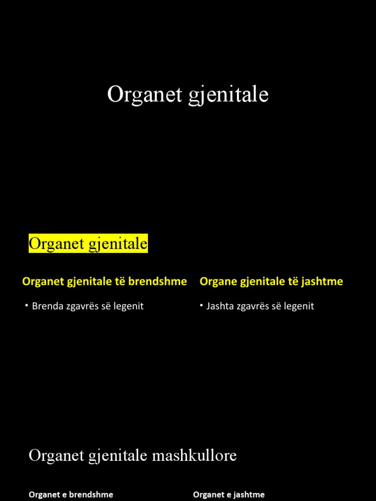 Organet Gjenitale | PDF