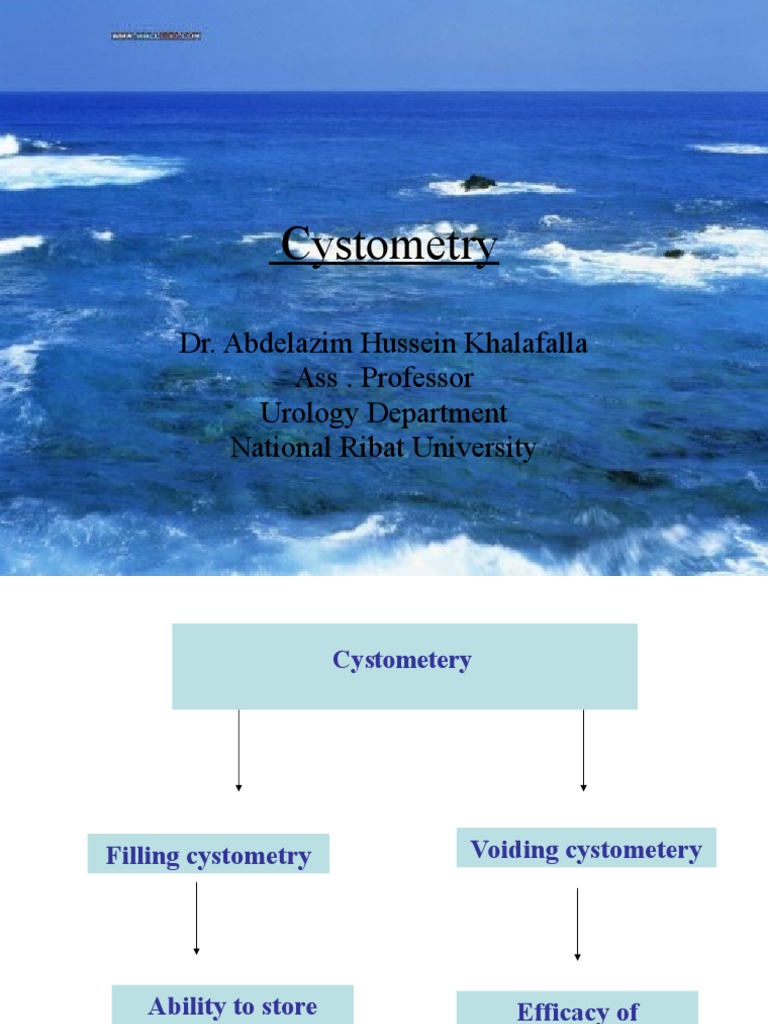 Comprehensive Guide to Cystometry | PDF | Urination | Urinary Incontinence