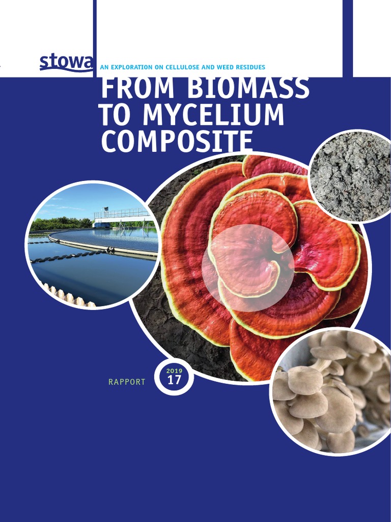 From Biomass To Mycelium Composite An Exploration-Hydrotheek (Stowa ...