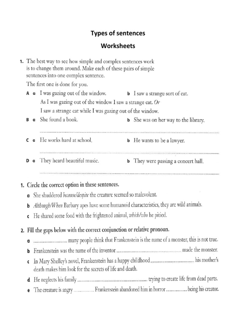 Typesofsentences Worksheets | PDF