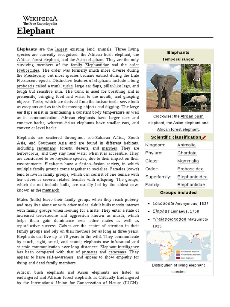 Elephant | PDF | Elephant | Tooth