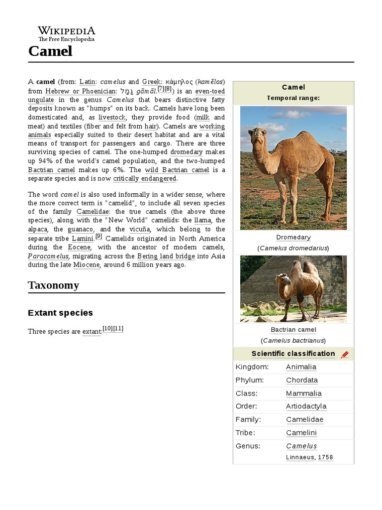 The Adaptations and Biology of Camels: Nature's Ultimate Desert ...