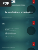 Cours de Sociologie des Organisations | PDF | Sociologie | Psychologie