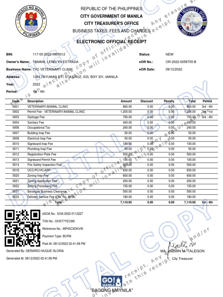 Electronic Official Receipt: City Government of Manila City Treasurer'S ...